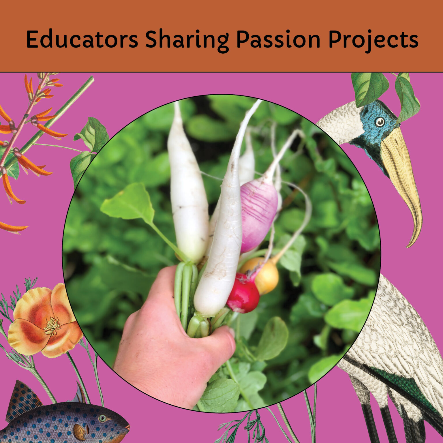 Educational Leader Allowance – Network of Community Activities